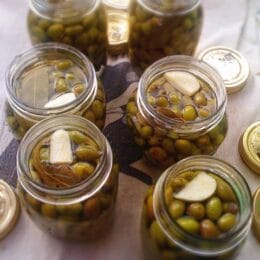Curing and preserving olives - The Norfolk Olive Tree Company