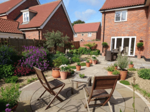 Best Companion Plants for Olive Trees - The Norfolk Olive Tree Company