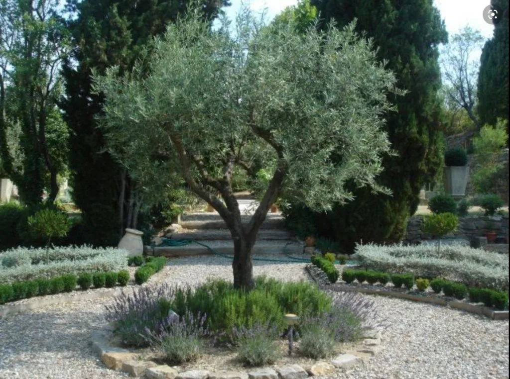 Italian Garden Paths