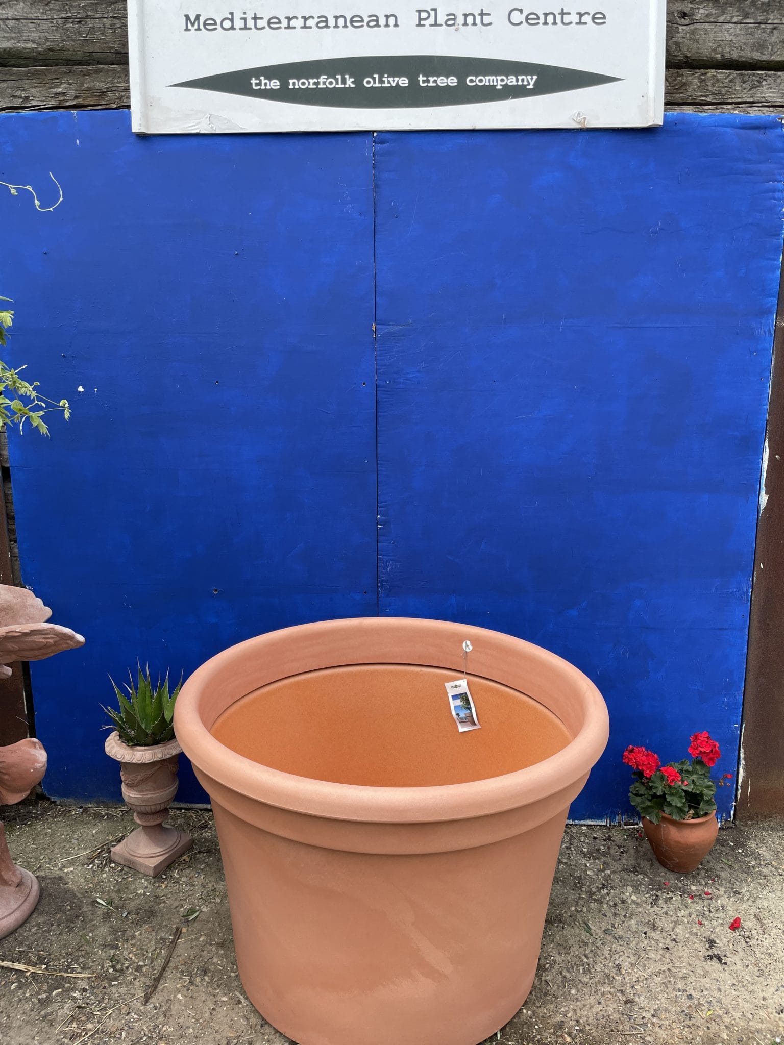 Extra large garden pot. - The Norfolk Olive Tree Company