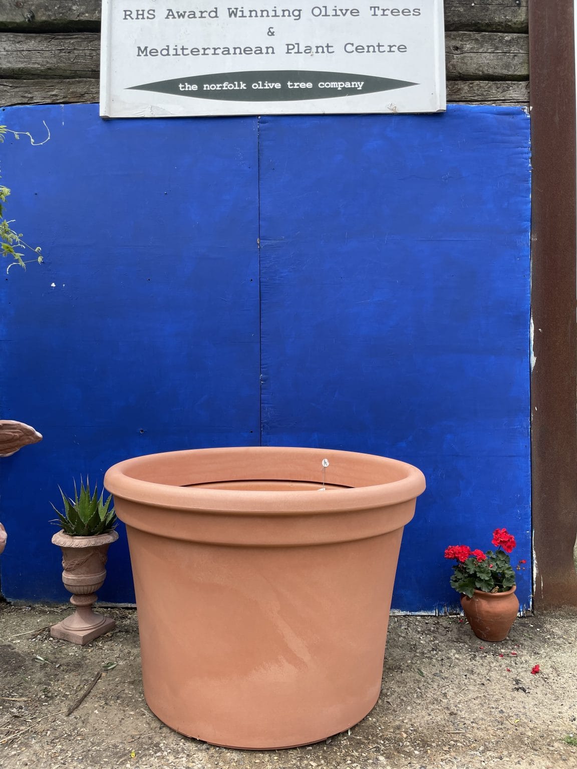 Extra large garden pot. - The Norfolk Olive Tree Company