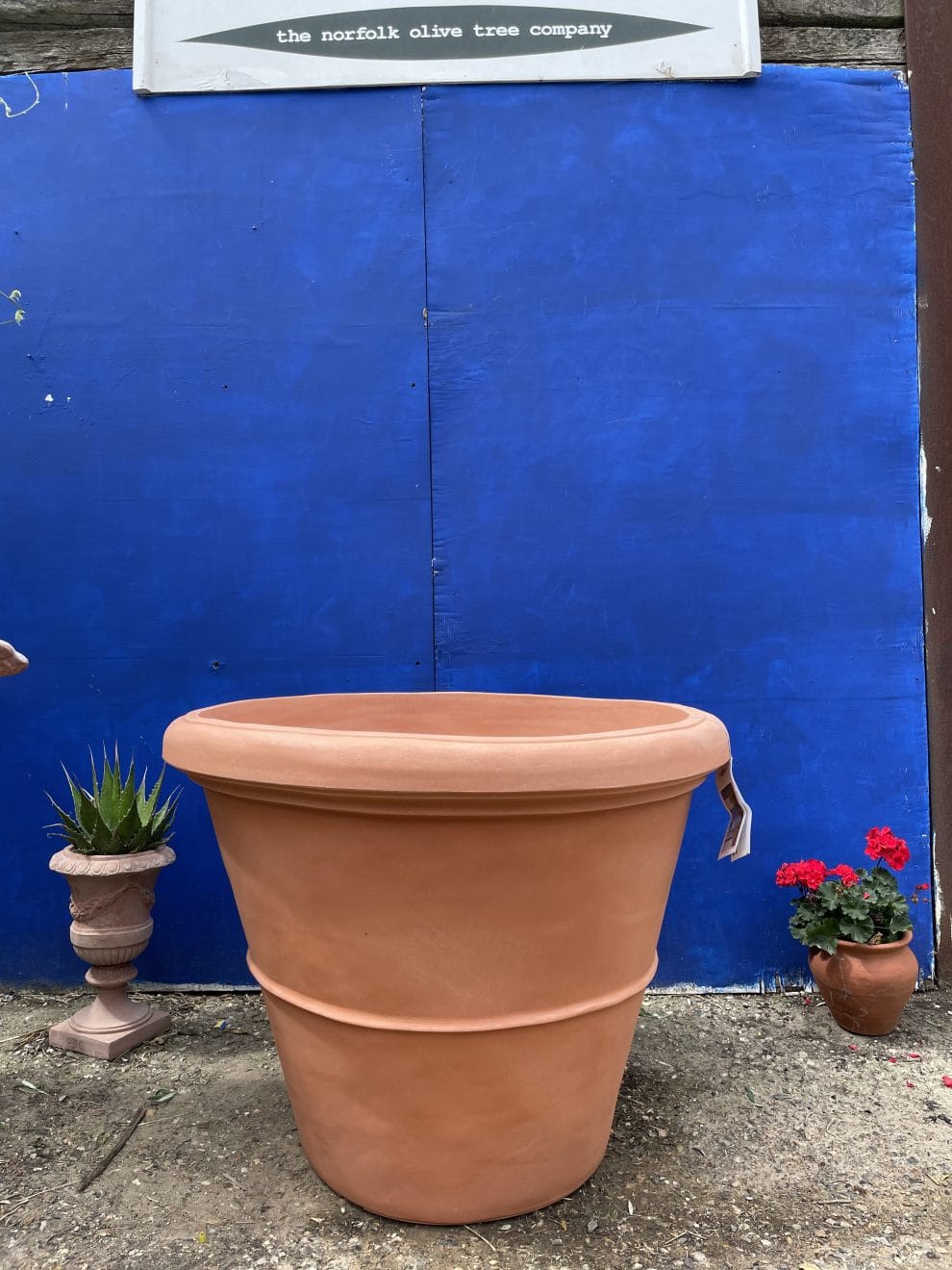 Large Italian Garden Pots | New arrivals. - The Norfolk Olive Tree Company