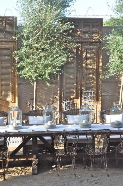 FAQ: How to Care for Olive Trees Over Winter in England - The Norfolk ...